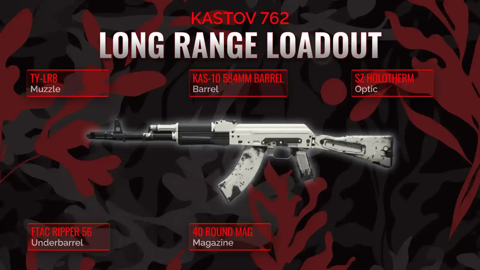 Dominate the Battle: Kastov 762 long range Loadout Mastery