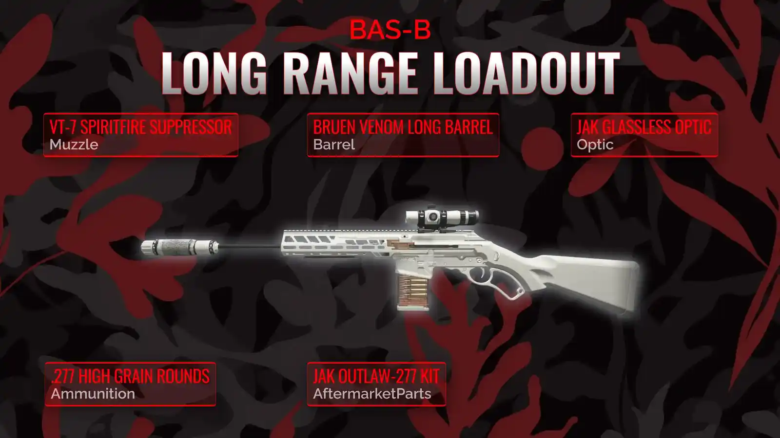 Unleashing the Beast: A Comprehensive Guide to Long Range BAS-B Loadout ...