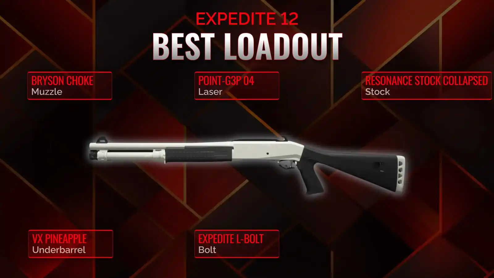 Dominating with the Expedite 12: The Definitive Battle Royale Loadout Guide