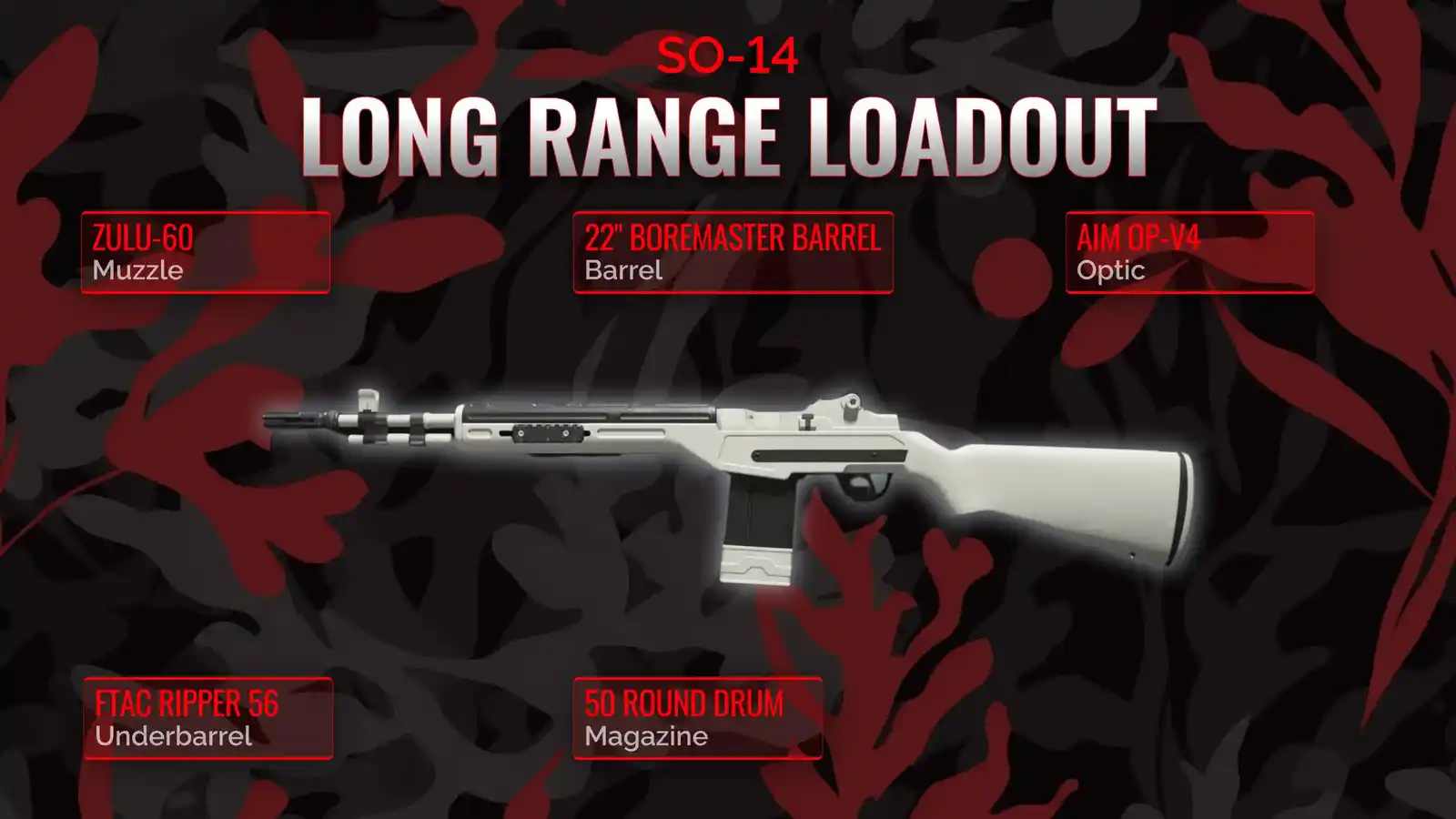 SO-14 Dominance: Constructing the Premier long range Loadout