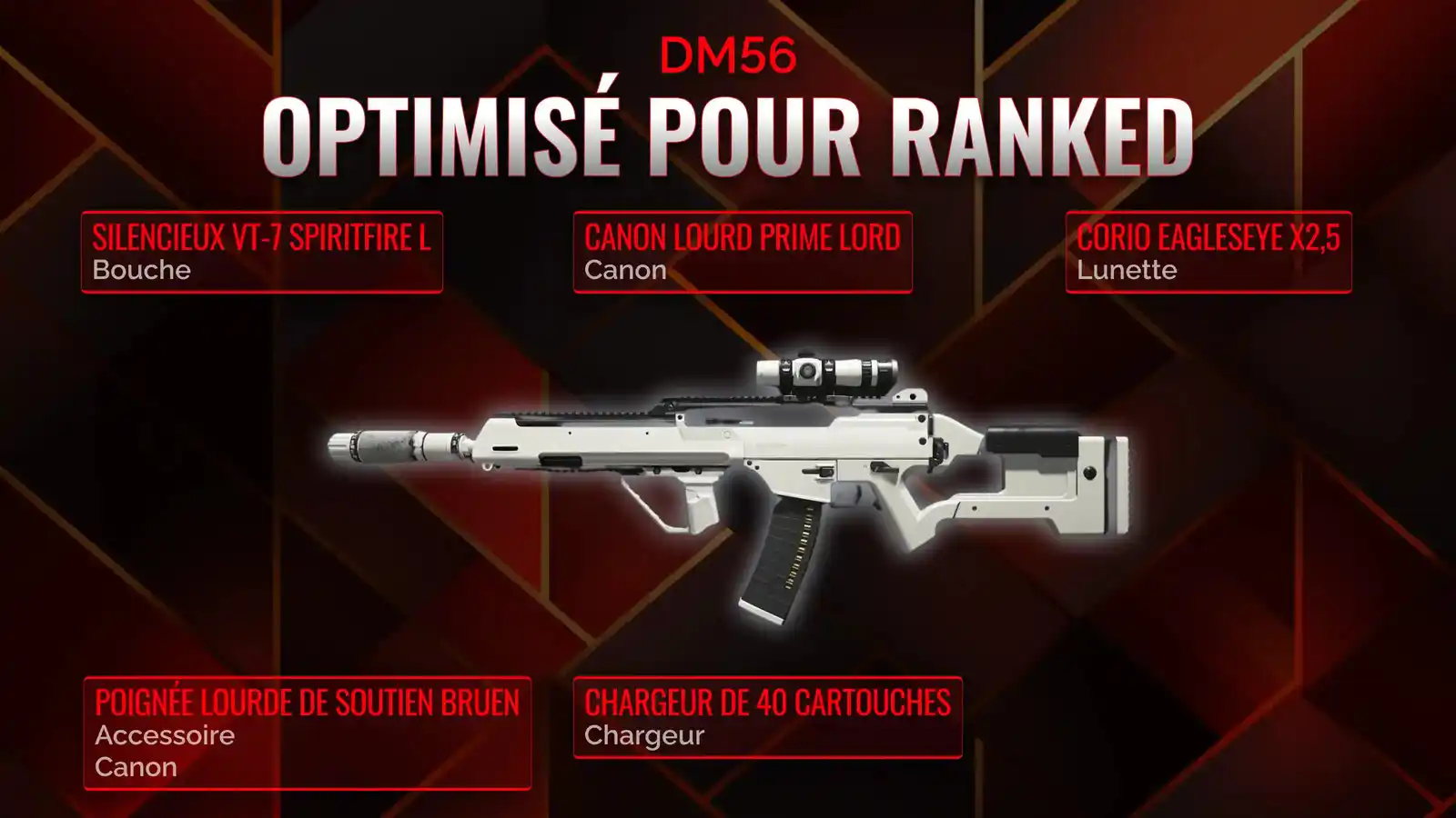 DM56 Dominant : Votre Guide Complet pour un Loadout Battle Royale ...