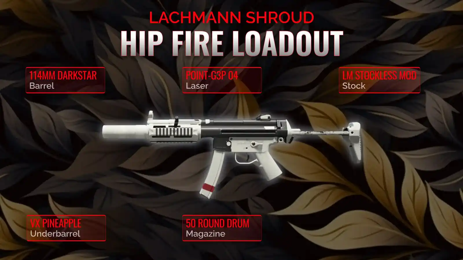 Lachmann Shroud Decoded: Perfecting the Ultimate hip fire Loadout