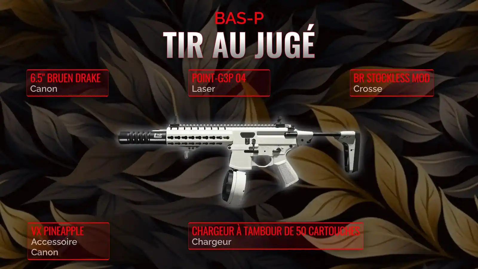 BAS-P Démystifié: Le Guide Complet du Meilleur Classe de tir au jugé
