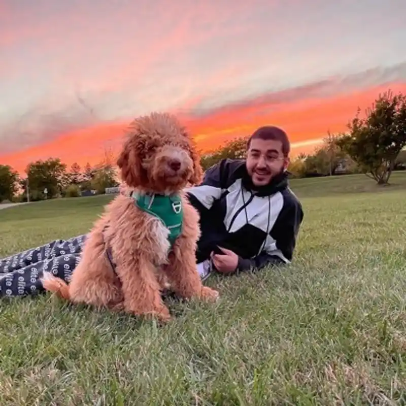 Warzone Top Streamers | Discover their Loadouts | WZStats.GG